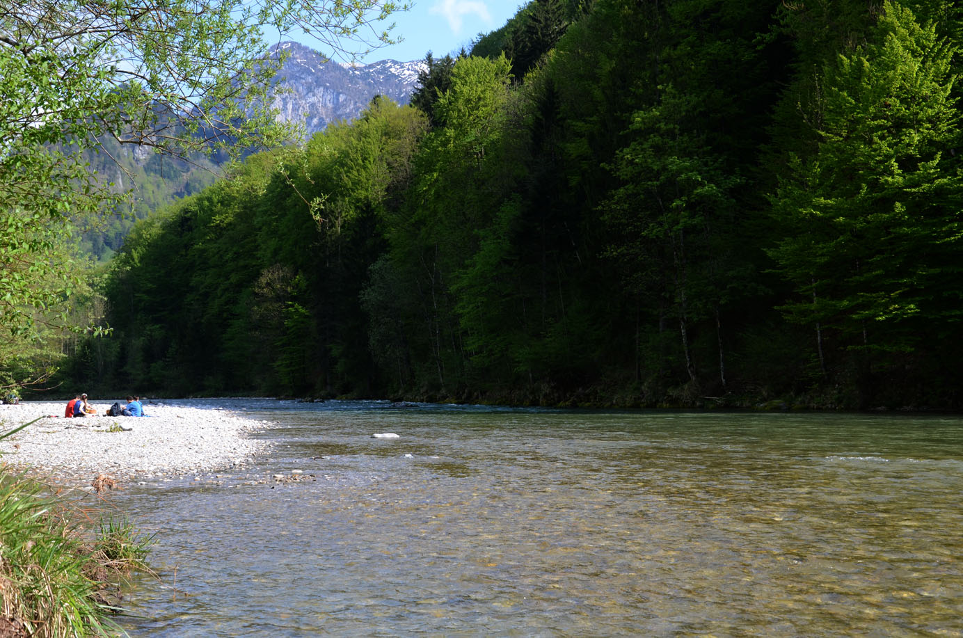 Nix wie raus: Frühlingserwachen in der Au | SalzburgerLand Magazin