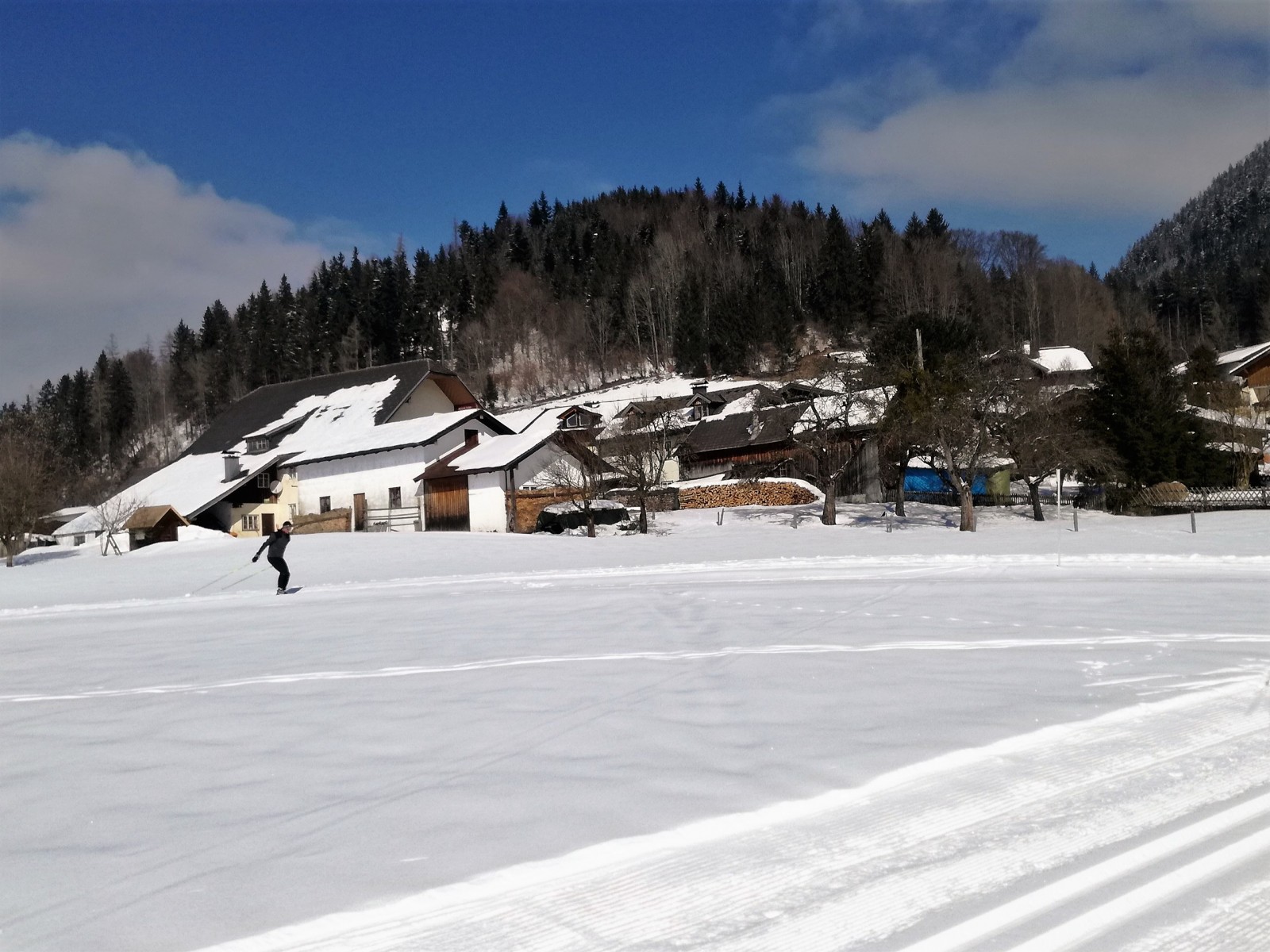 Langlauferlebnis pur in Faistenau und Hintersee | SalzburgerLand Magazin