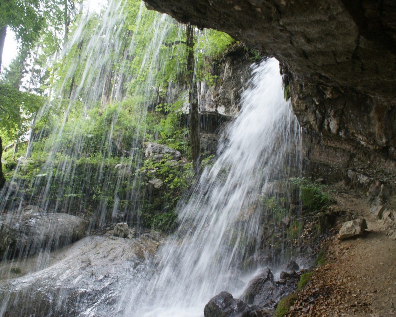 Almenwelt Lofer – Österreichs schönste Wanderalm | SalzburgerLand Magazin
