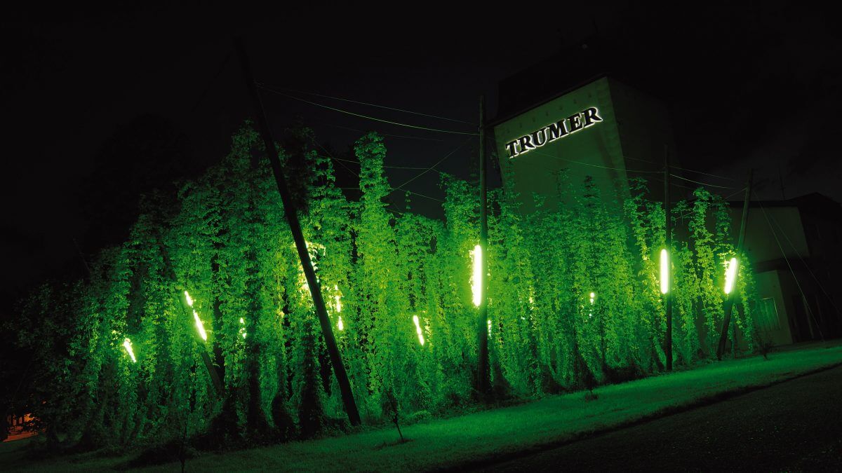 Obertrum am See » SalzburgerLand.com