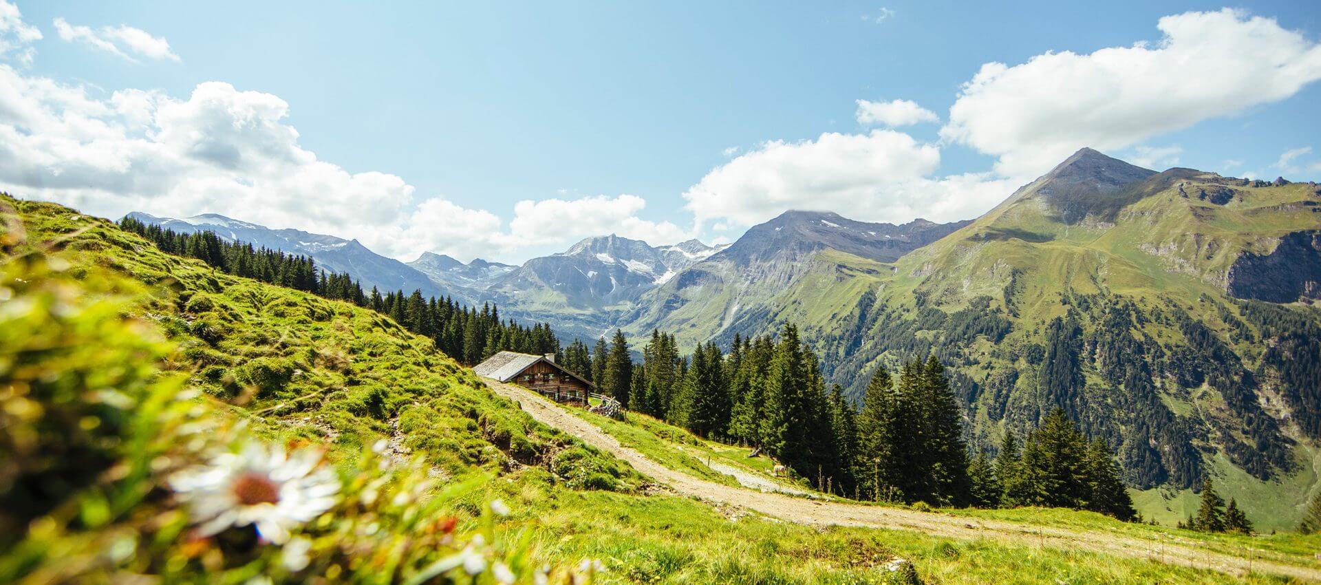 Ihr Urlaub in Salzburg, Österreich » SalzburgerLand Tourismus