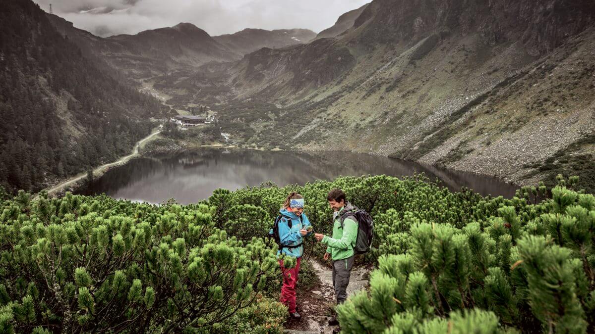Zirbenwald » SalzburgerLand.com