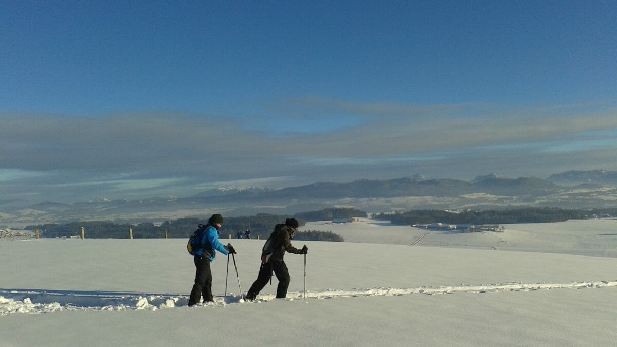 Mattsee with its lake of the same name is known for sports and culture.