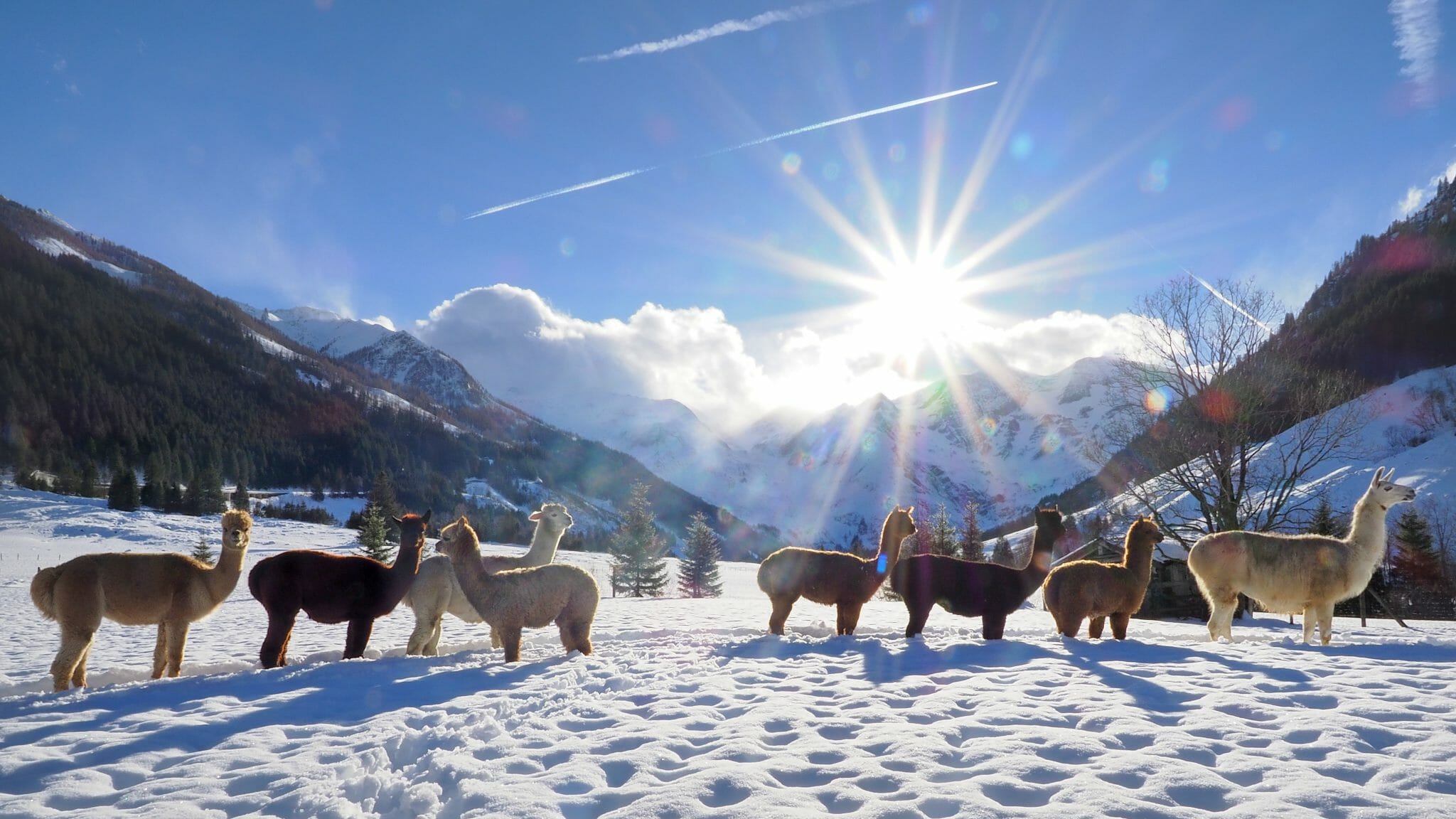 National Park Village of Fusch: holiday opportunities and attractions