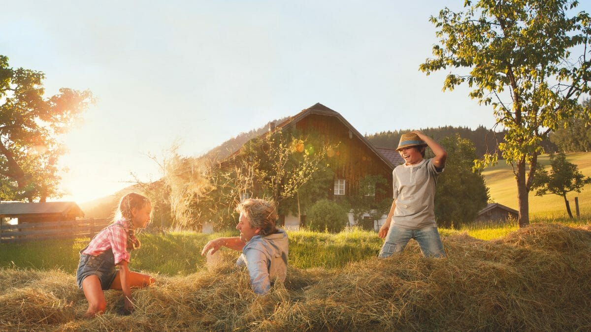 Farm Holidays: enjoy a wonderful Farmhouse Holiday in SalzburgerLand