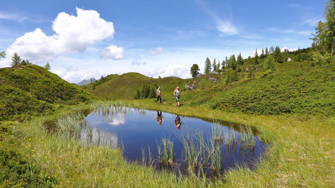 Grossarltal » SalzburgerLand.com